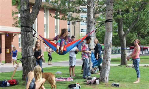 NAU Events - Field Day