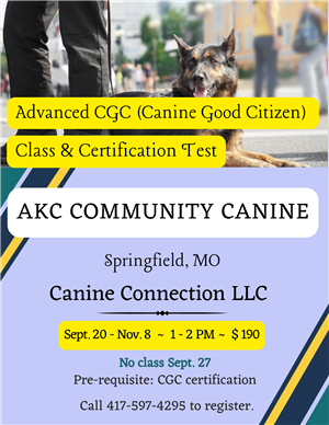 American Kennel Club - Advanced CGC (Community Canine) Class & Test
