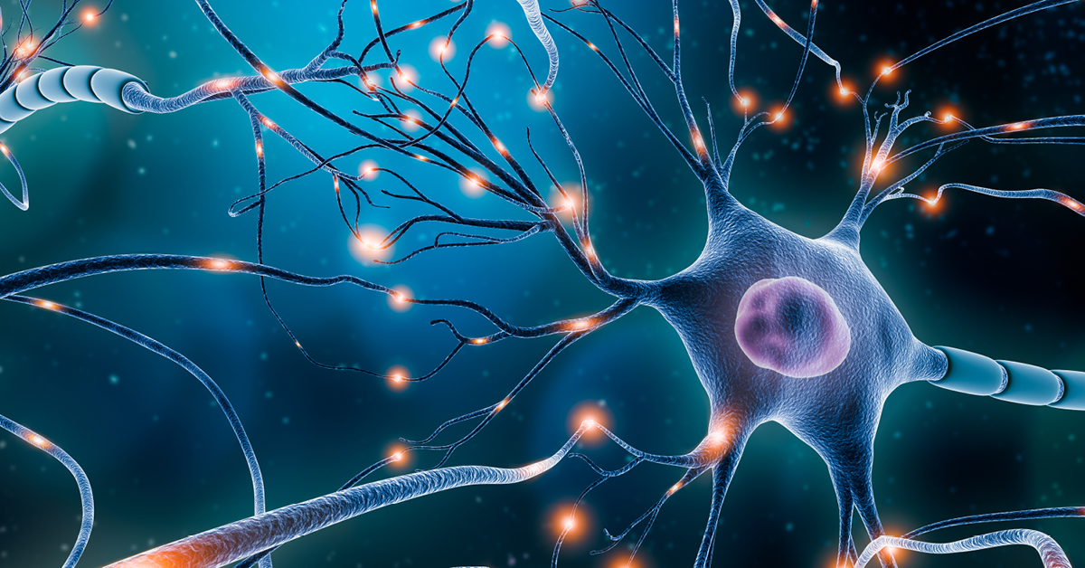 Community Calendar - Brain Warriors: A Support Group for Stroke Survivors