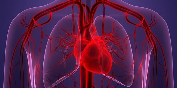 Community Calendar - Managing Atrial Fibrillation: Risk Factors and ...