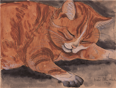 DeLand Campus - Kati Bluemner: A Kid's Animal Adventure