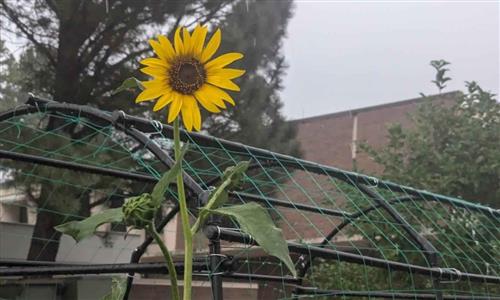 NAU Events - SSLUG Club Monthly Meetings