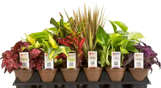 SUNY Jefferson Calendar - Earth Day: How to Grow Herbs