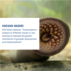 Science - PhD defense: Hassan Nazari