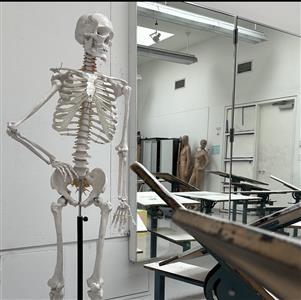 UB Events Calendar - Open Figure Drawing