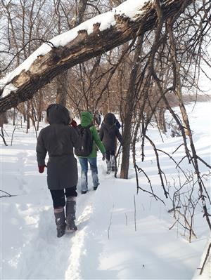 Sustainability - Winter Nature Walk