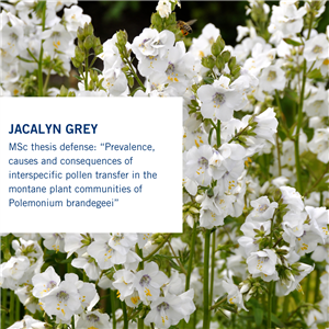 Science - MSc defense: Jacalyn Grey