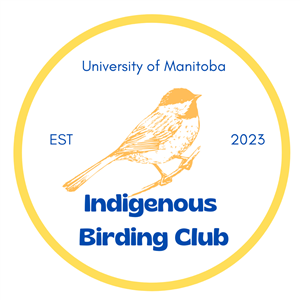 Indigenous - Christmas Bird Count with the UM Indigenous Birding Club!