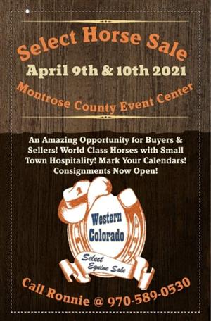Montrose County - Western Colorado Select Equine Sale