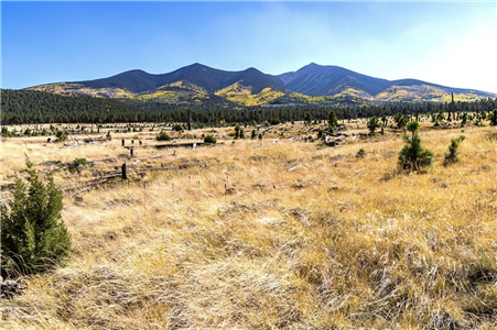 NAU Events - Mountain Bike Hart Prairie