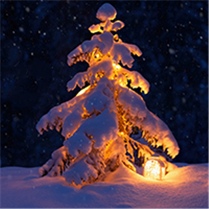 NAU Events - 2025 NAU Holiday Concert: Where the Light Begins (Flagstaff)